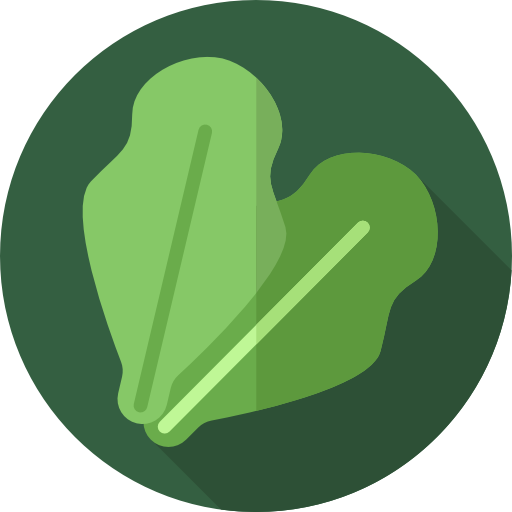 MM2 Cheap coupons, promo codes and discount codes — Save up to 40% off ...